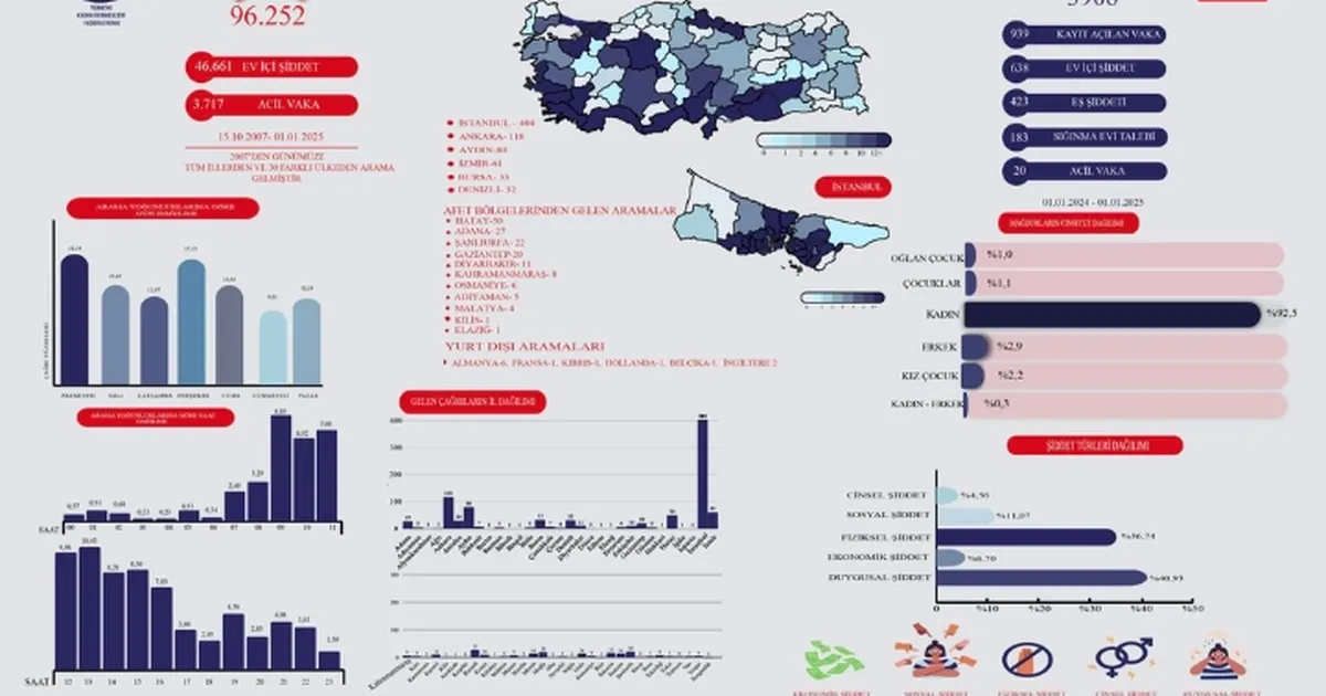 2024 yılında TKDF Ev İçi Şiddet Hattı'na 3 bin 908 çağrı geldi ...
